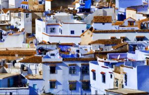 Techos blancos, la estrategia para bajar la temperatura de las casas ...